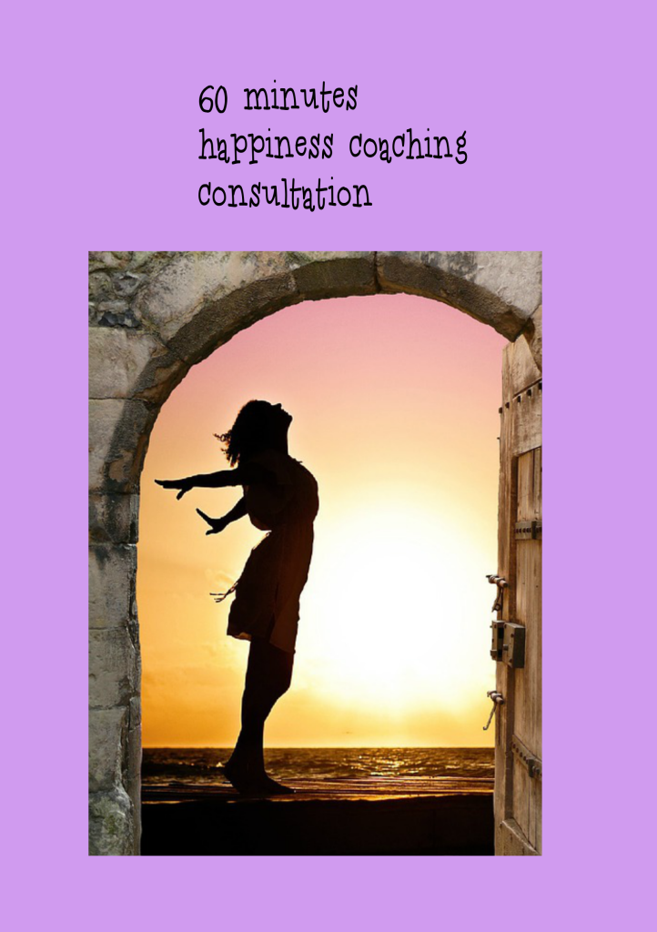 Happiness Coaching - 60 Minutes - Mind Body Spirit Coach - Susan Fox